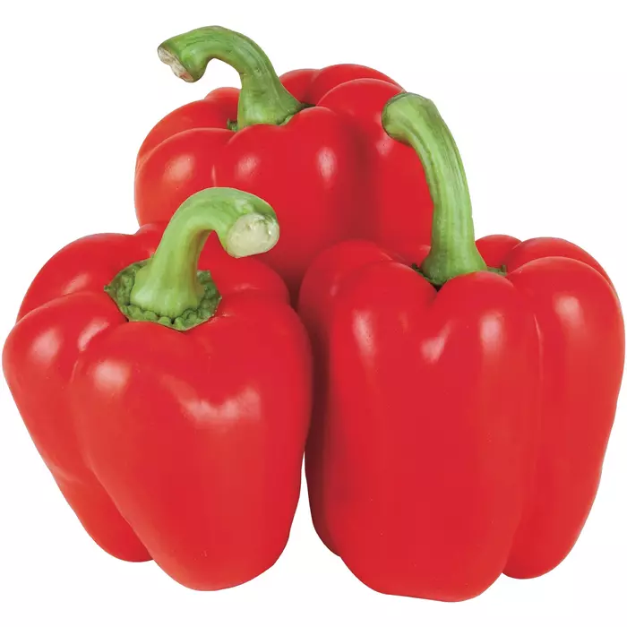 Paprika rot per Stk. | Kindercompany